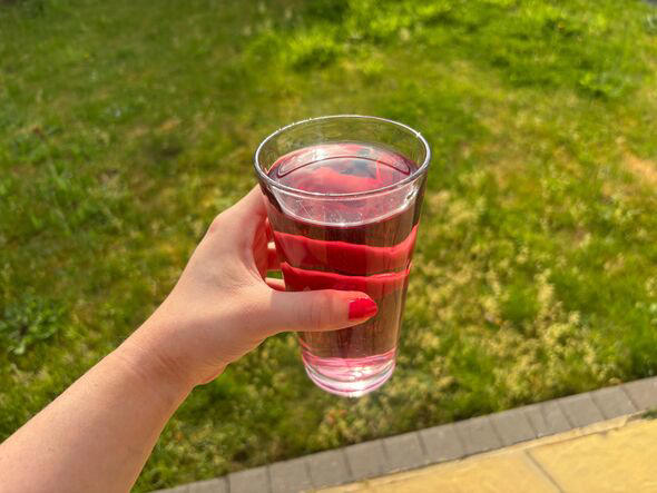 I tried supermarket squash against Ribena and Robinsons - winner was £1 ...