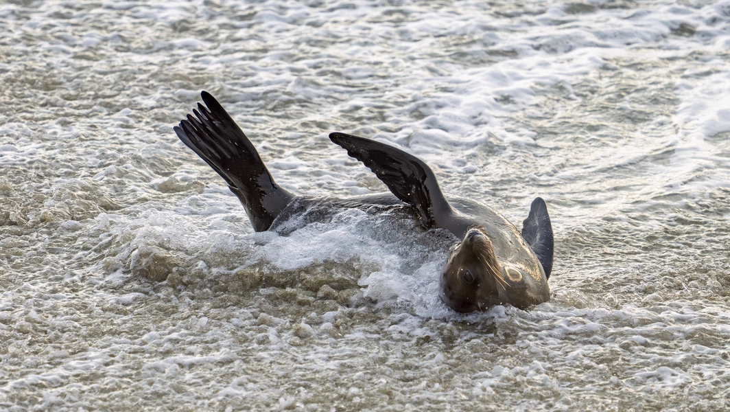 13 notable beaches with unique landscapes and wildlife