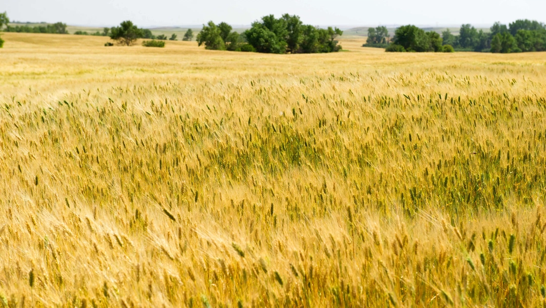 10 leading food exporting nations in 2026