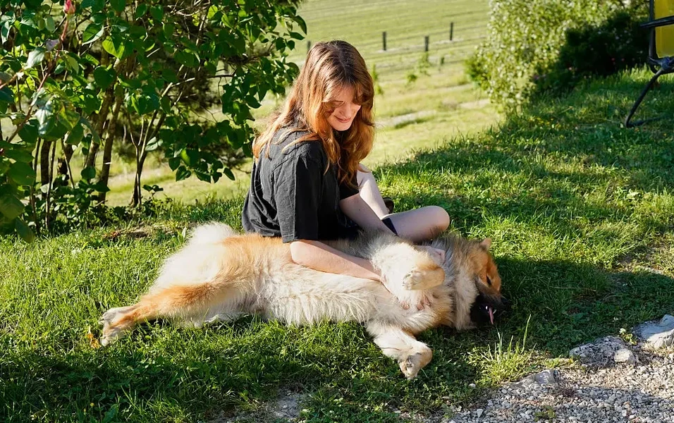 Helping your dog live longer, healthier years