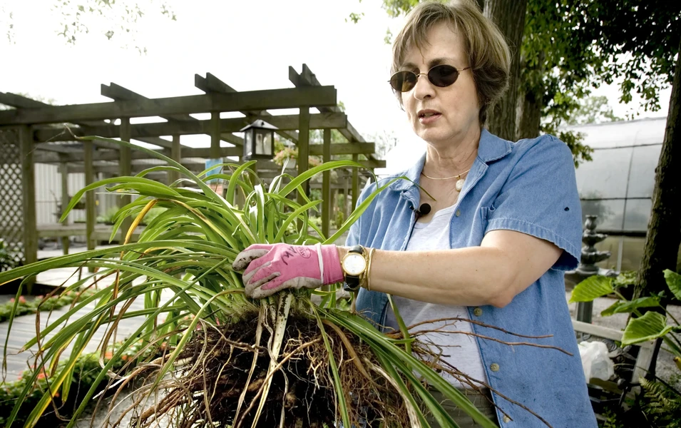 Master the art of seasonal gardening