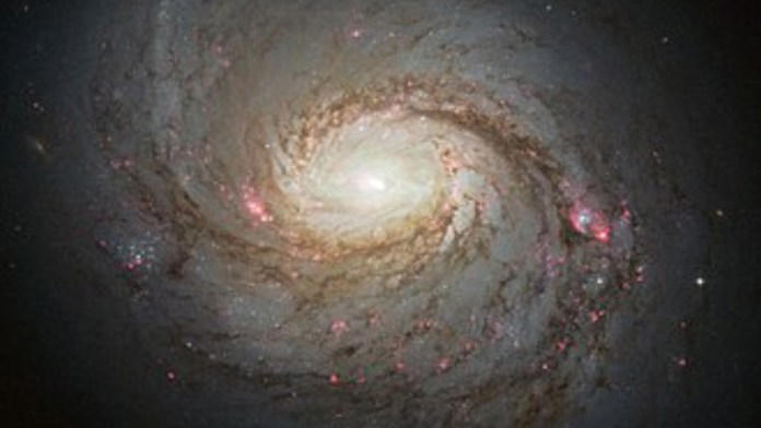 Webb captures the black hole core overpowering an entire galaxy