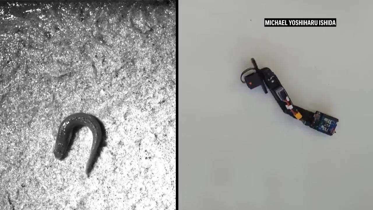 Scientists create walking robot fish to study evolutionary leap