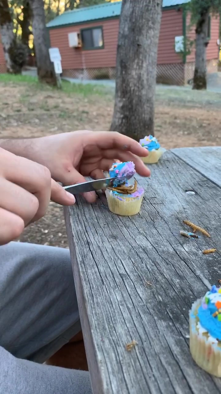 Food prank gone wrong? Fake bugs caused total chaos