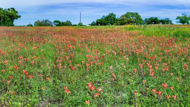 Texas couple's 118-acre paradise could be swallowed by a 7,600-acre ...