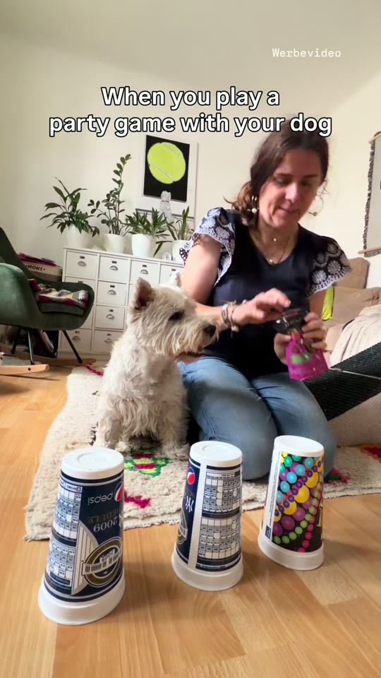 Challenge your dog with the classic cup game
