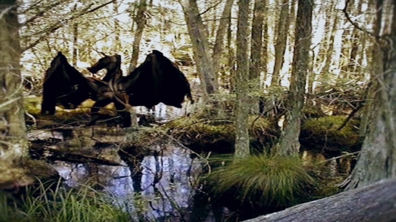 Locals said the "man-sized bird" was watching - then the bridge collapsed