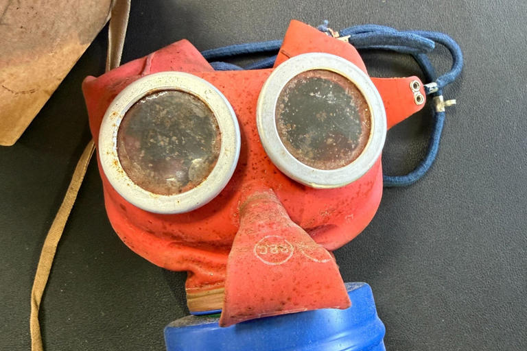 Mickey Mouse gas mask with original carrying canister excites experts ...