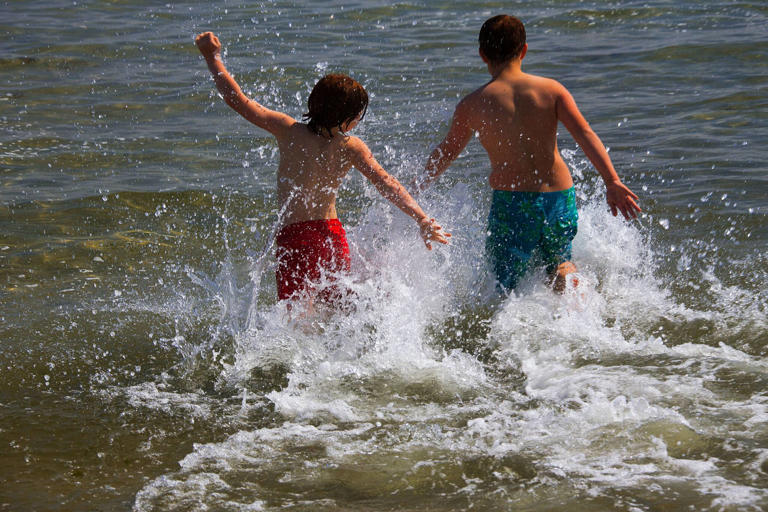 Täglich aktuell: So viel Grad hat die Ostsee in Warnemünde ...