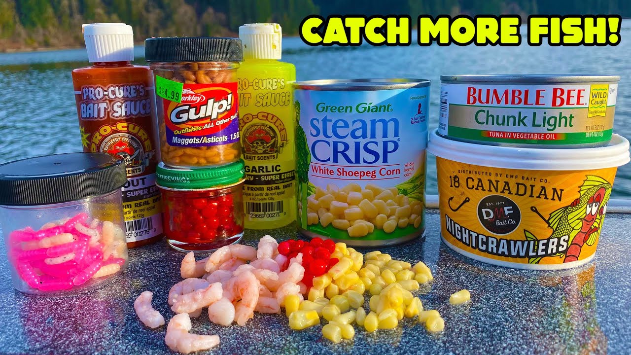 The best baits for kokanee fishing from a pro