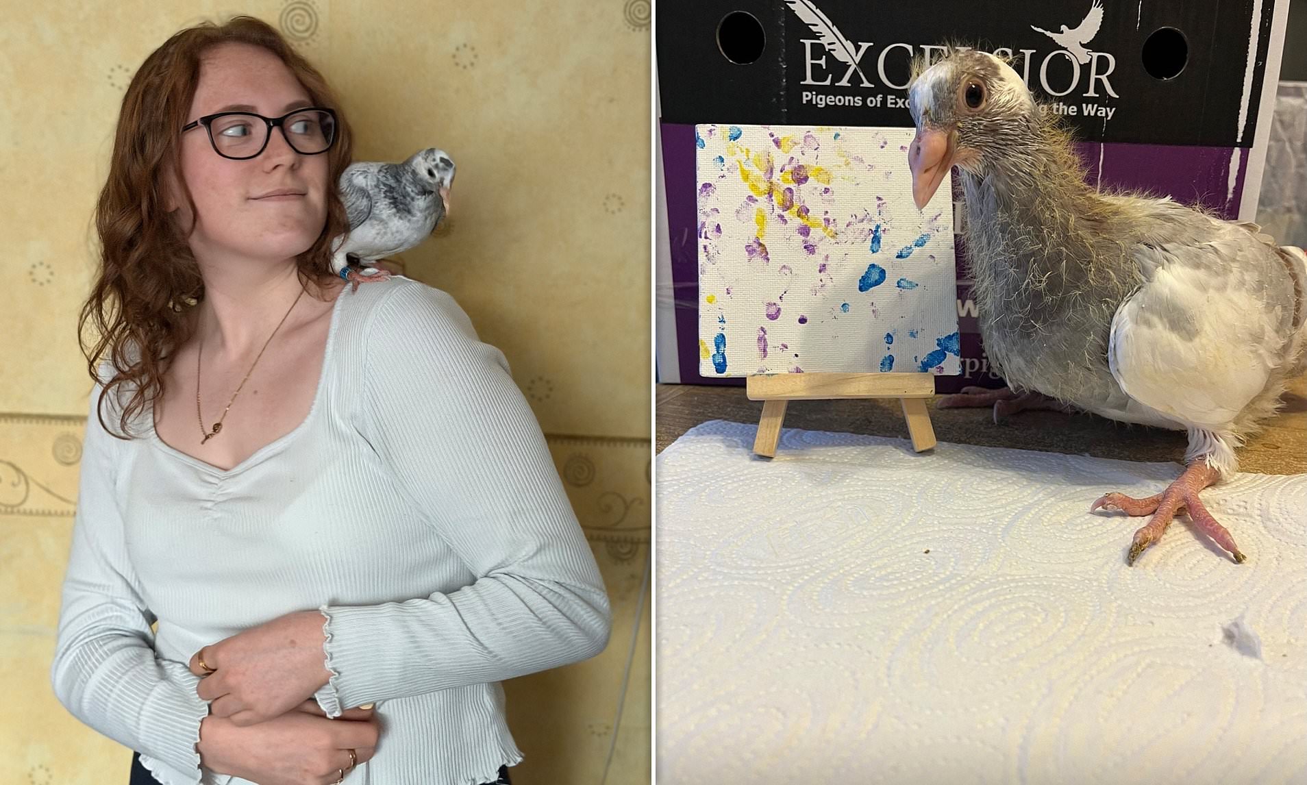 Quite a coo! Racing pigeons' paintings sell for £1,200 when owner puts ...