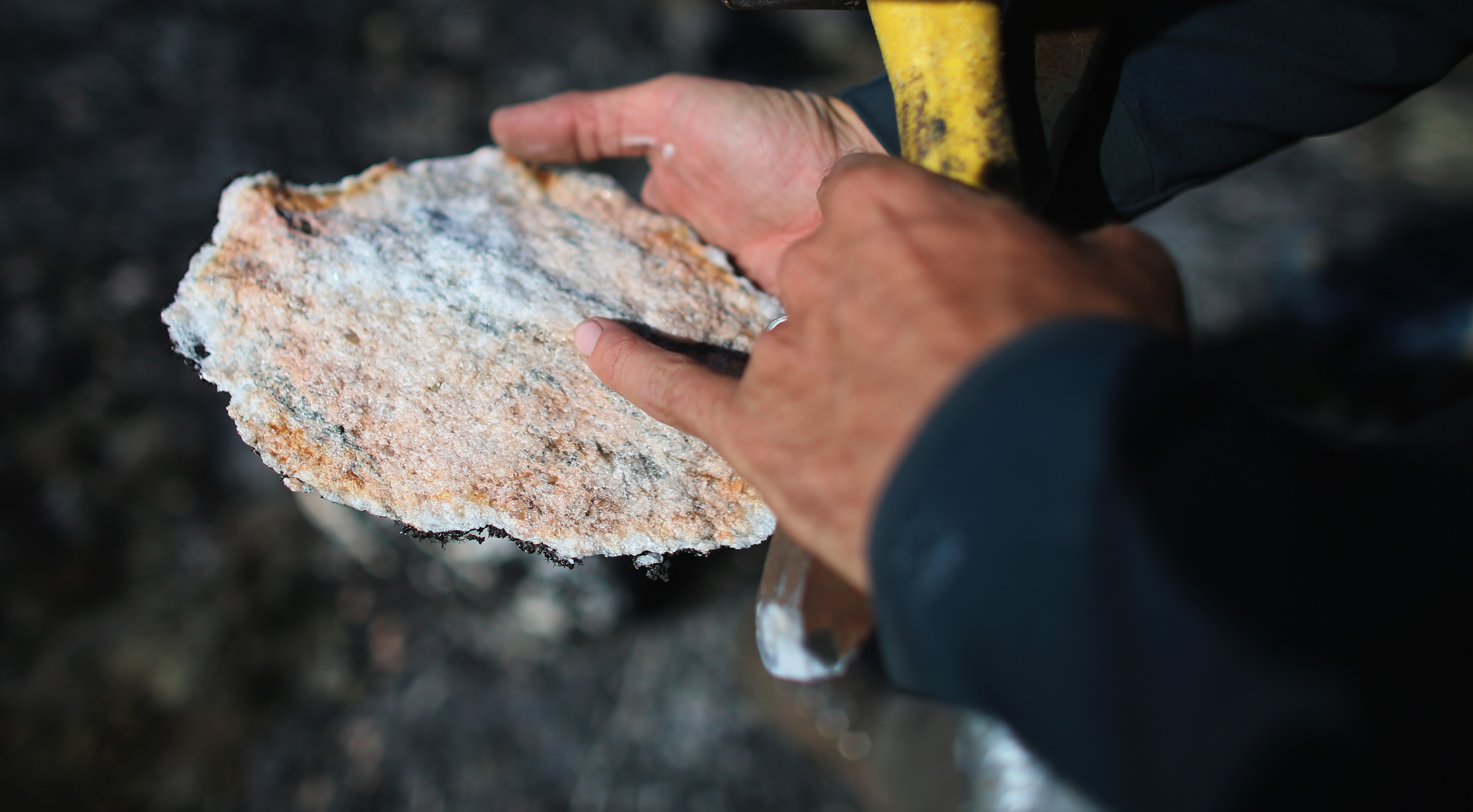 Not just gold: US company plans to invest $200M in France for critical ...