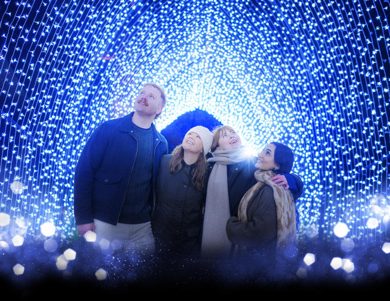 Christmas at the Botanics 2026 will celebrate 10 magical years with ...