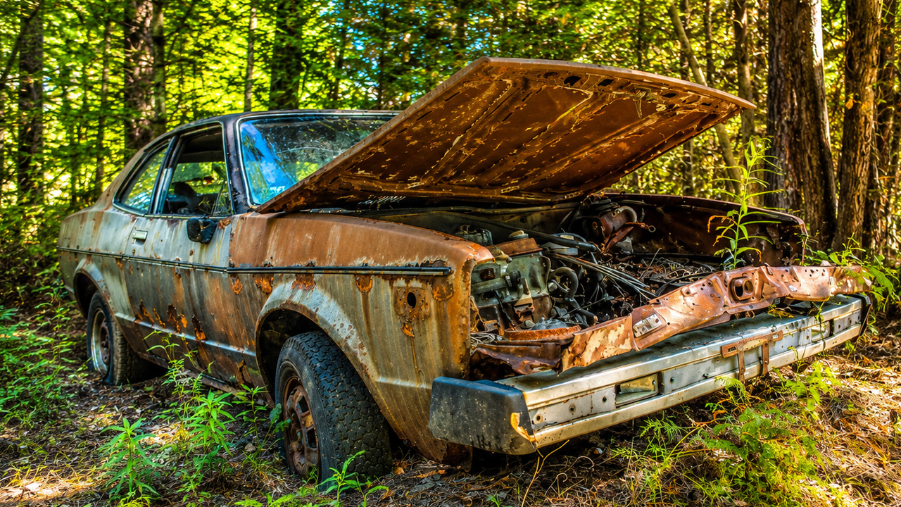 Nature is taking over these forgotten classic cars