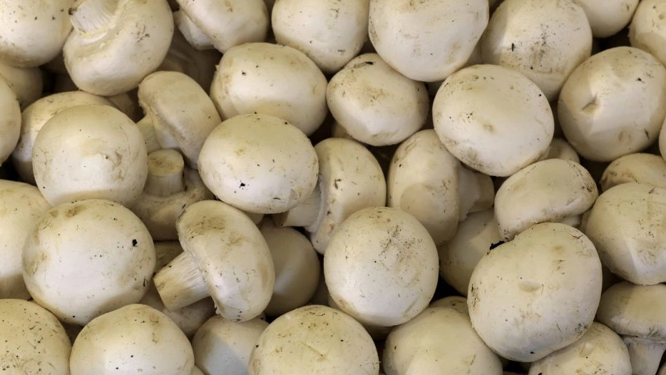 Common mistakes to avoid when cooking mushrooms