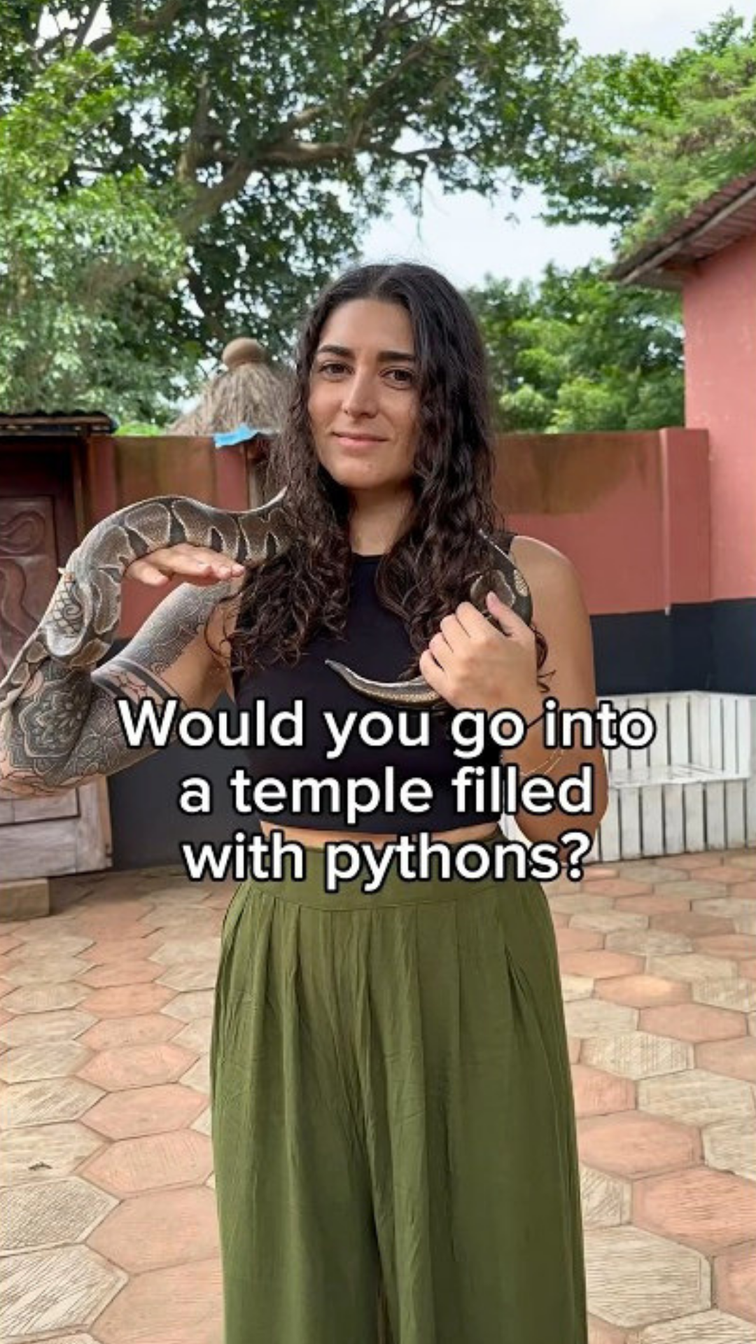 Inside temple filled with pythons in Benin