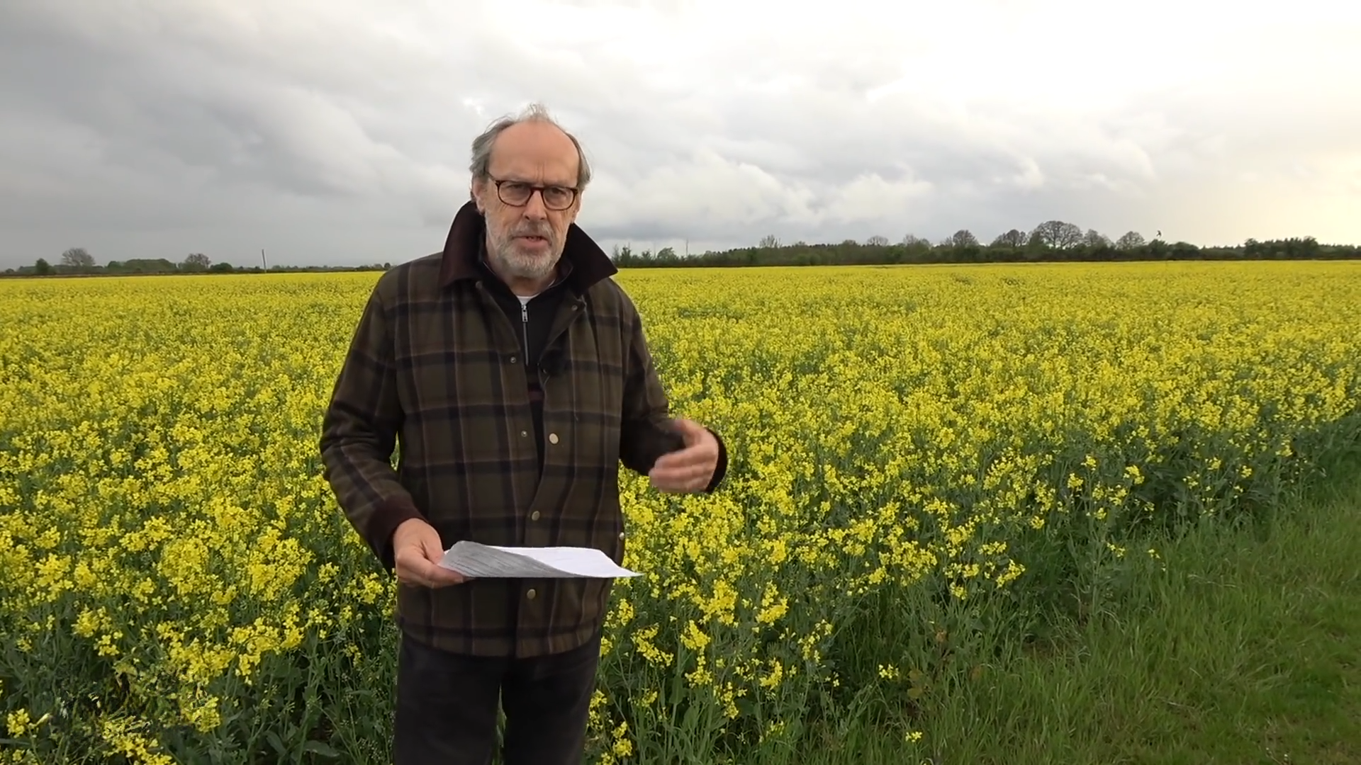Will the constant rain destroy this year's yield