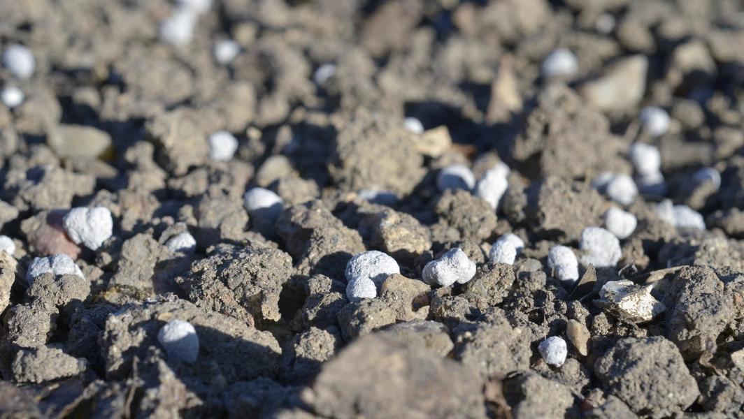 Heavy metals in your daily life and how to cope