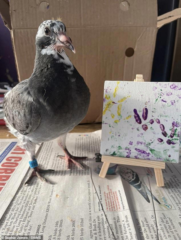 Quite a coo! Racing pigeons' paintings sell for £1,200 when owner puts ...