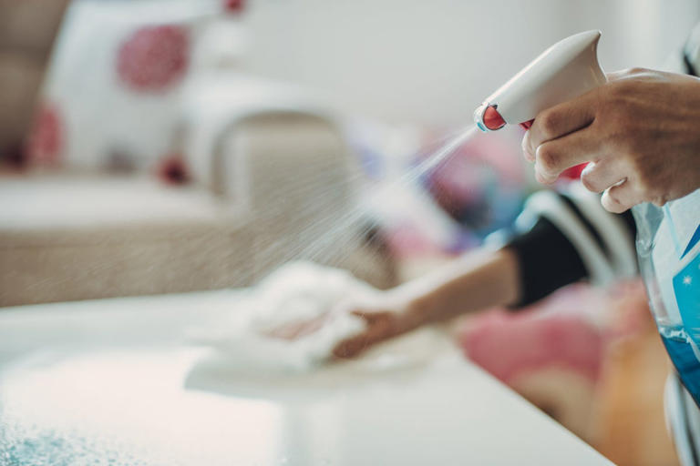 How to get rid of ants in your home and garden before they become a ...