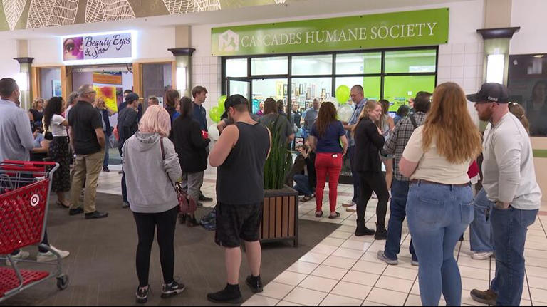 Cascades Humane Society opens new location at Jackson Crossing Mall