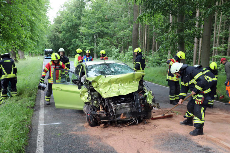 Schwerer Unfall in Bad Doberan: Mann rast mit Auto gegen Baum und wird ...