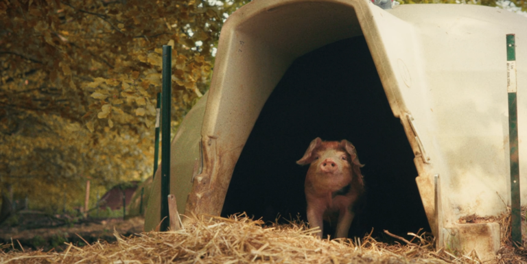 Jeremy Clarkson left in tears as Diddly Squat Farm faces 'sad saga'