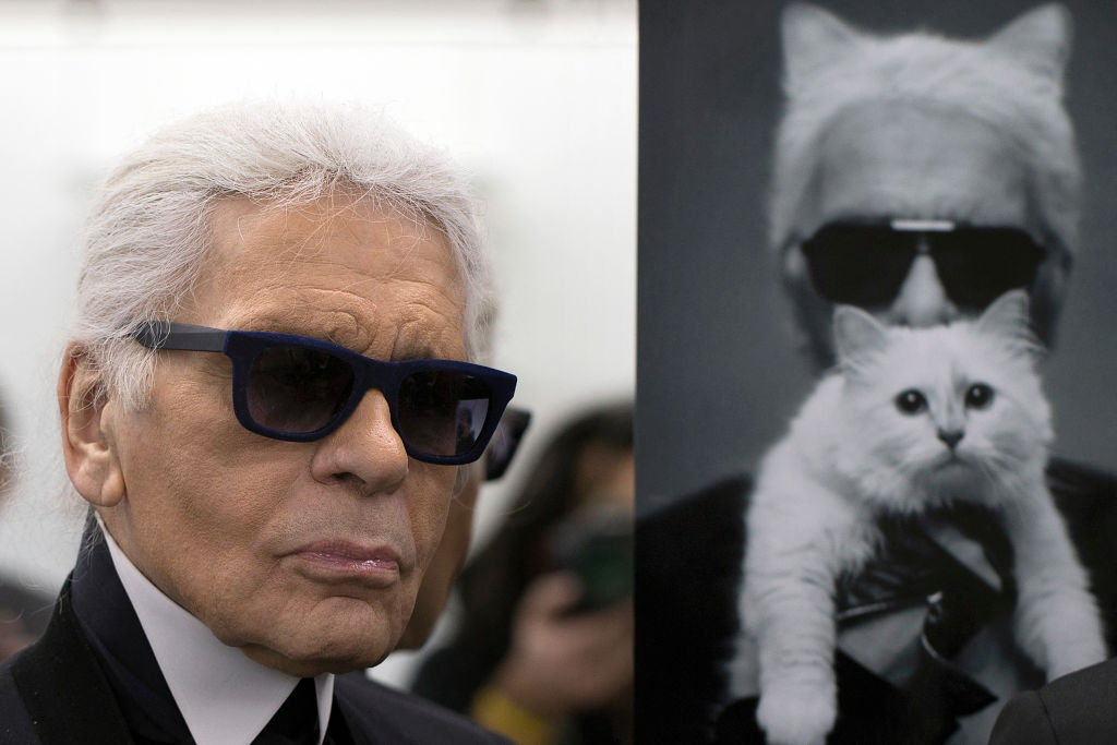 Choupette è al verde. La gatta più ricca del mondo non ha mai ricevuto ...