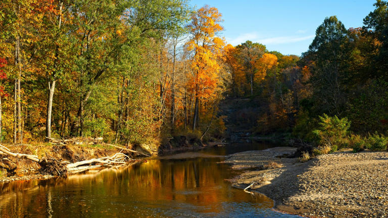 Architect Frank Lloyd Wright's final project is a surreal wood, stone ...