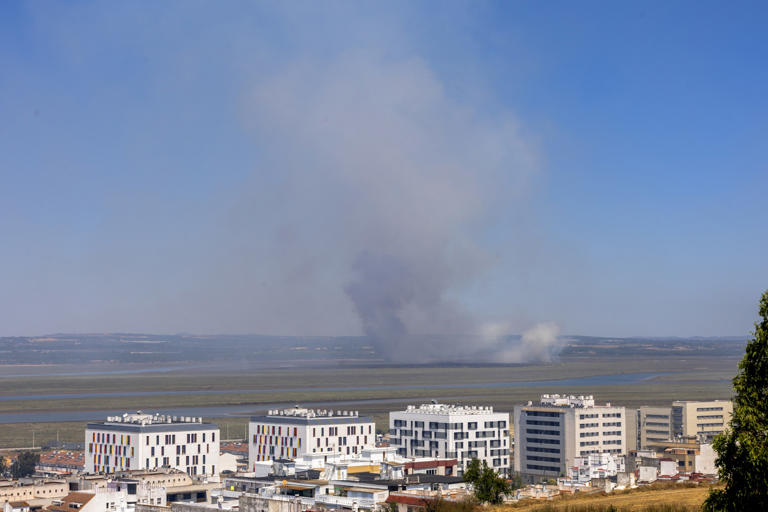 Estabilizado el incendio en la Reserva Natural de las Marismas del ...