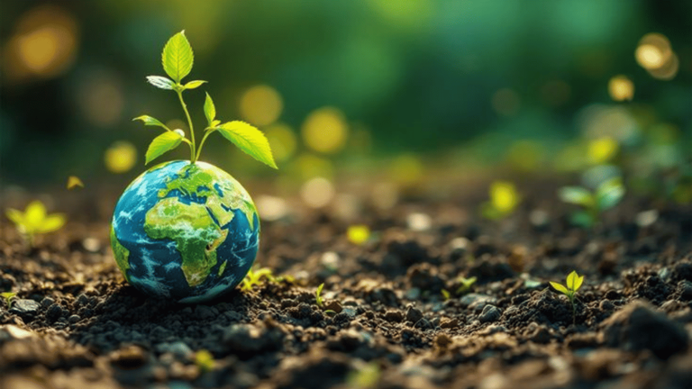 World Environment Day 2026 in schools: Best activities to inspire ...