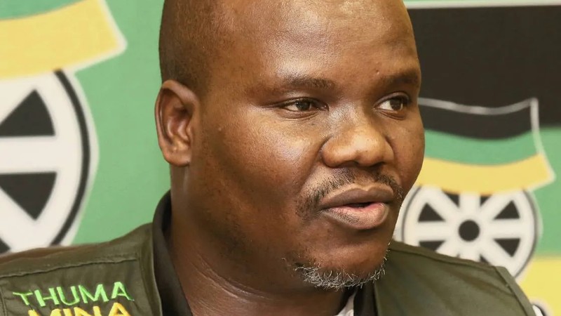 ANC's Ntuli rejects xenophobia claims, calls for respect for SA laws as ...