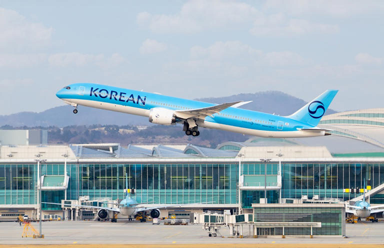 대한항공, 항공업계 최초 '스타링크 유료' 운영?