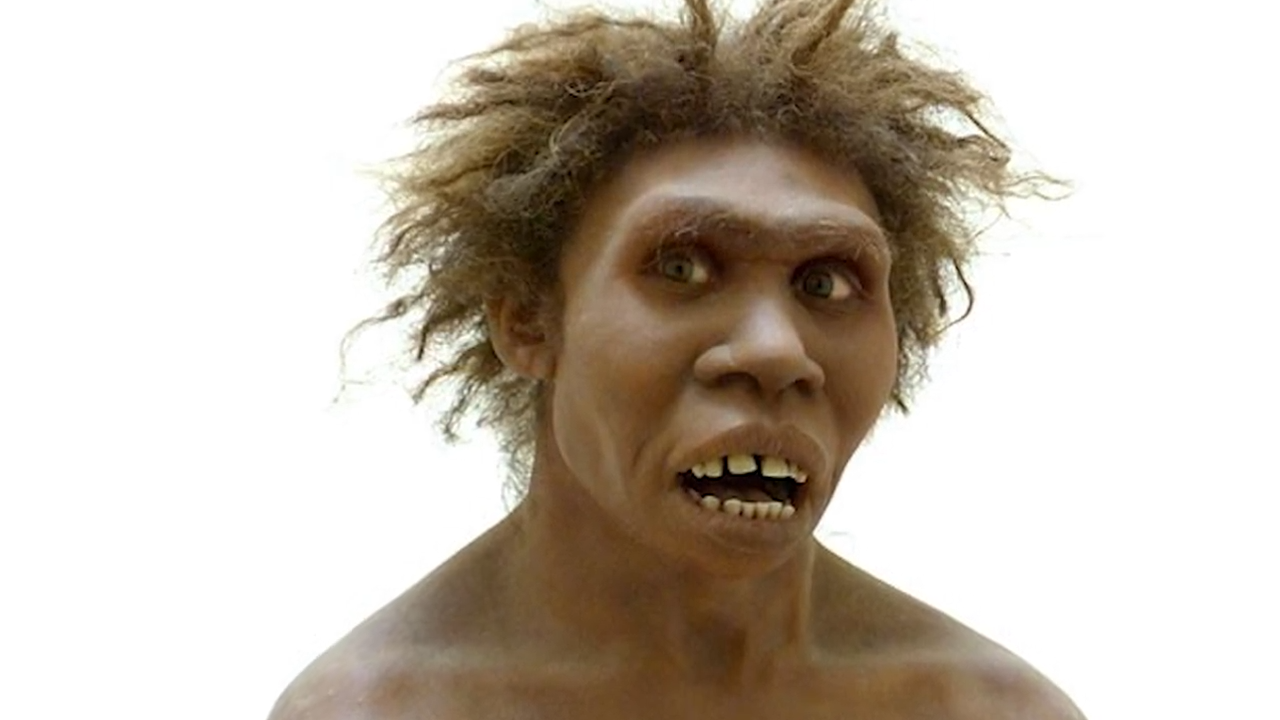 Why scientists still have no idea what the first humans said to each other