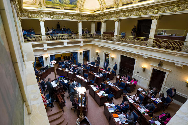 Longtime Utah Sen. Ann Millner is retiring. These two Democrats would ...
