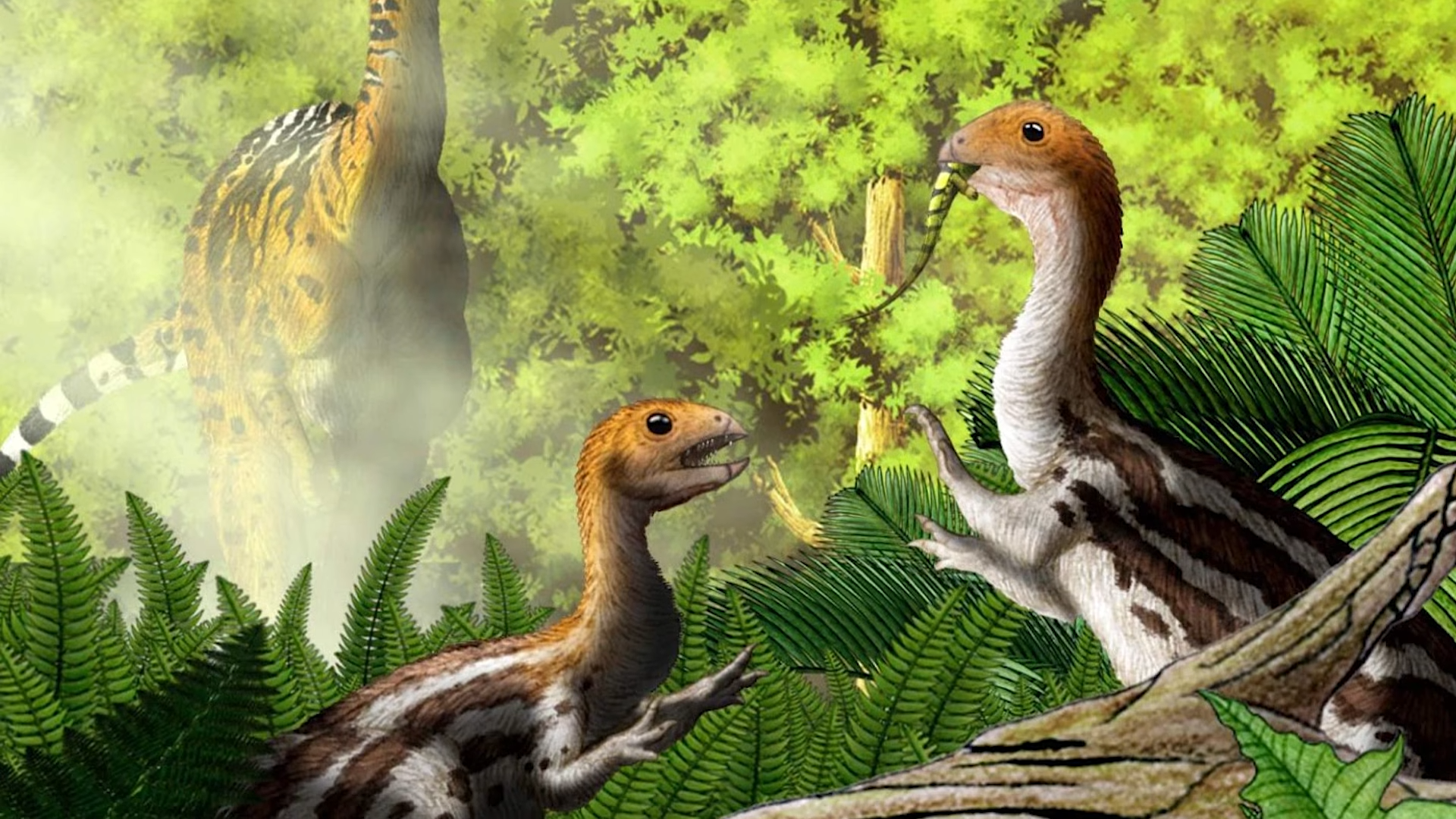 The dinosaurs trapped alive in giant footprints - a prehistoric death ...