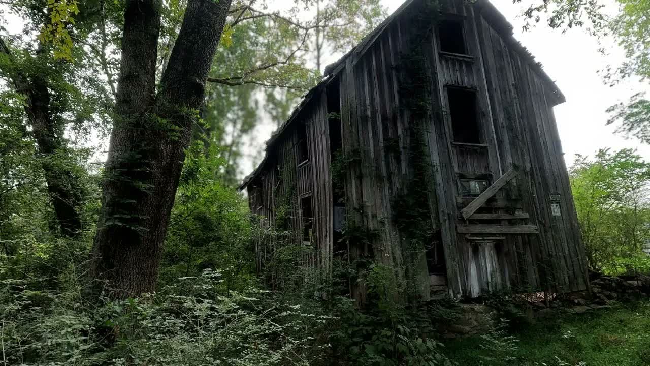 They found one of Georgia’s oldest mills still standing - and the story ...