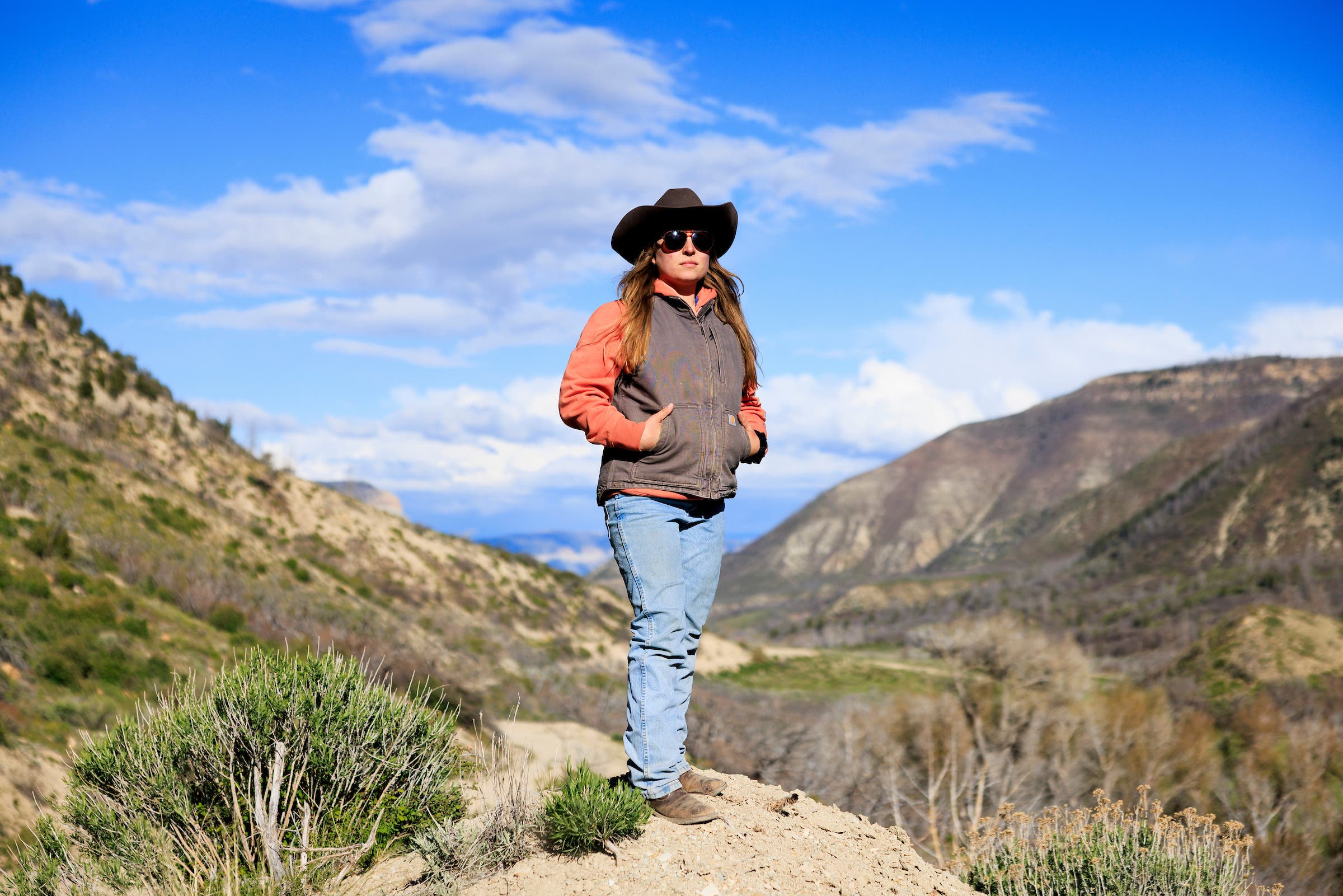 Colorado’s wolf reintroduction hasn’t gone to plan. Are the new ...