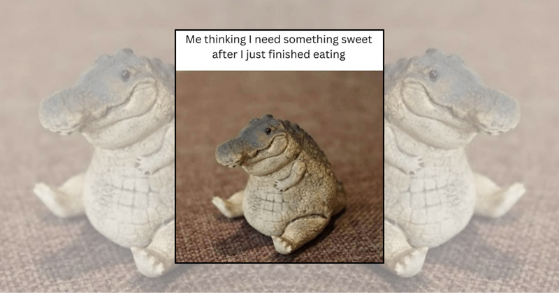 22 memes as sweet as fresh-baked cookies and twice as comforting