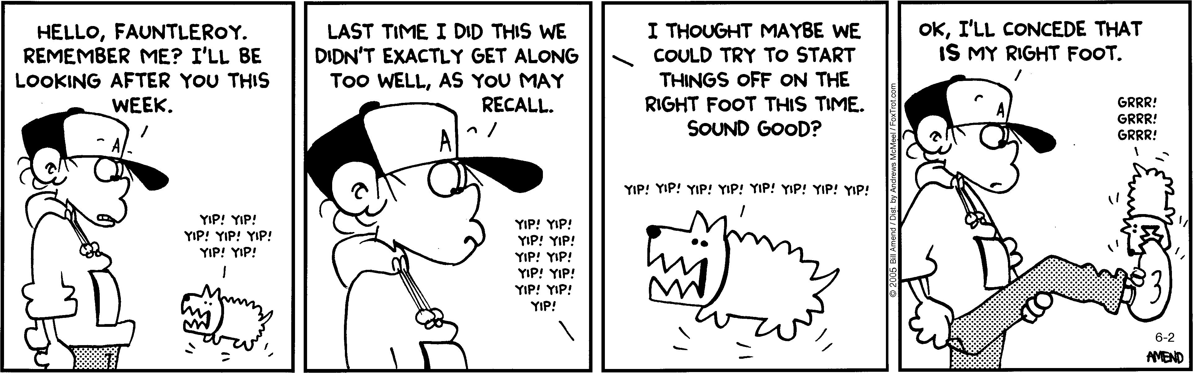 FoxTrot by Bill Amend