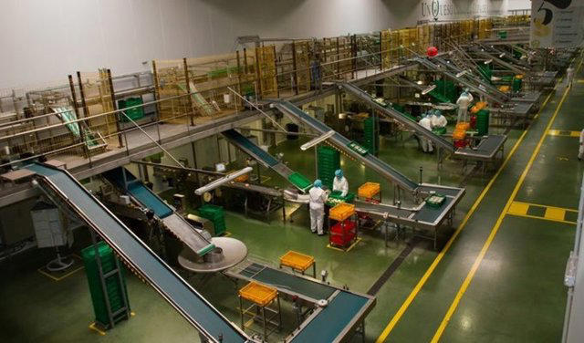 Sube un 4,5% la producción industrial en abril, octavo mejor dato y 0,3 ...
