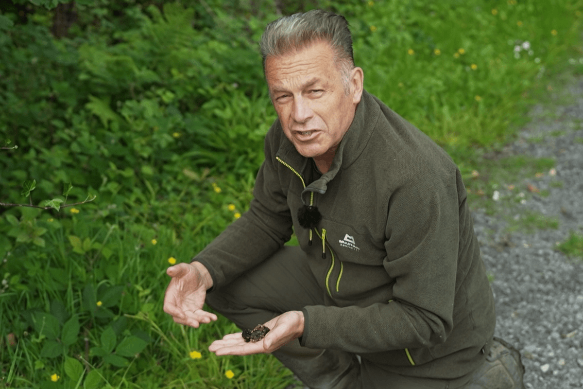 BBC Springwatch viewers left 'disgusted' with Chris Packham after ...