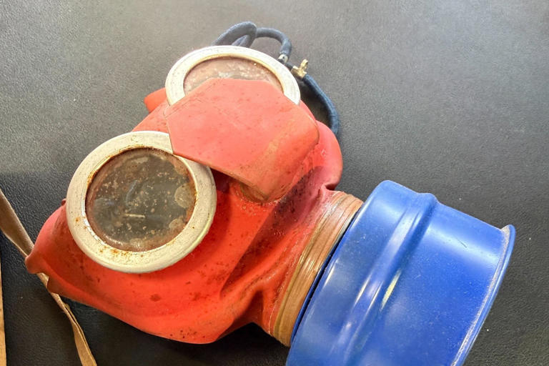 Mickey Mouse gas mask with original carrying canister excites experts ...