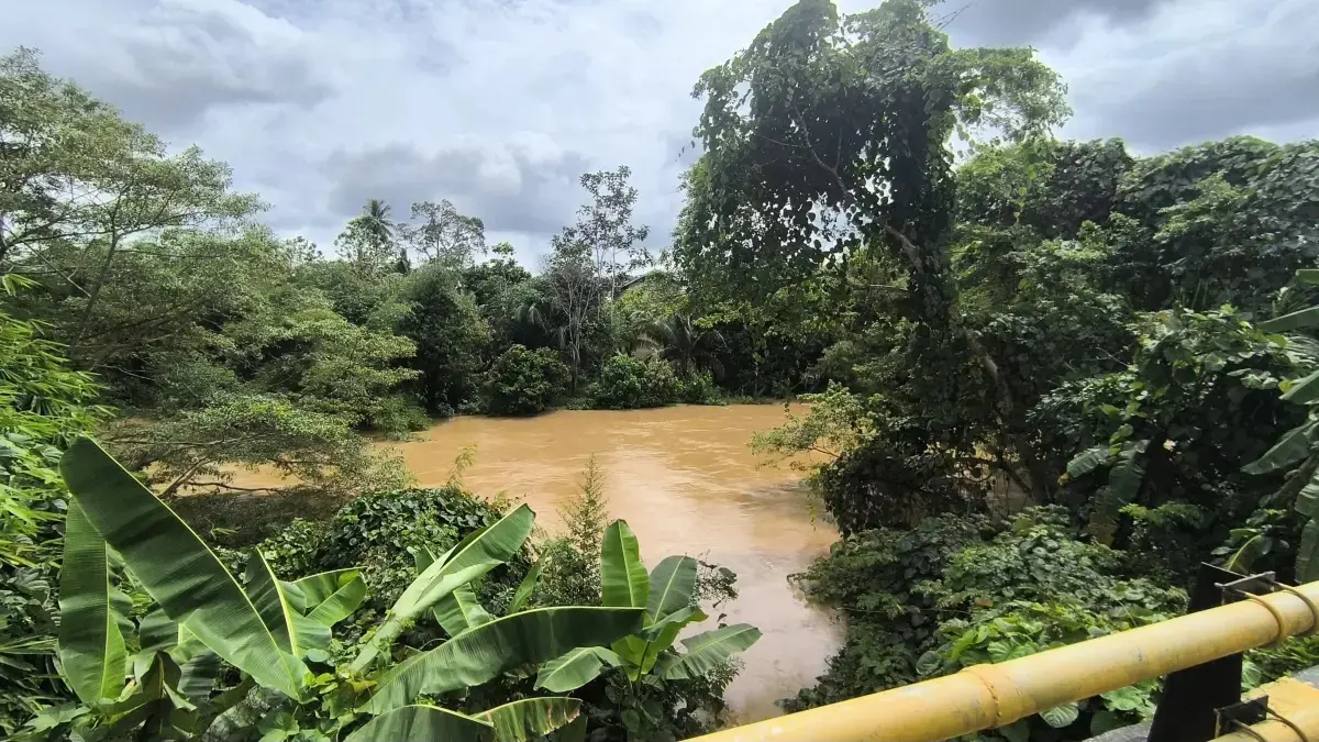 Diguyur hujan deras, Sungai Balangan berstatus waspada dan mulai meluap