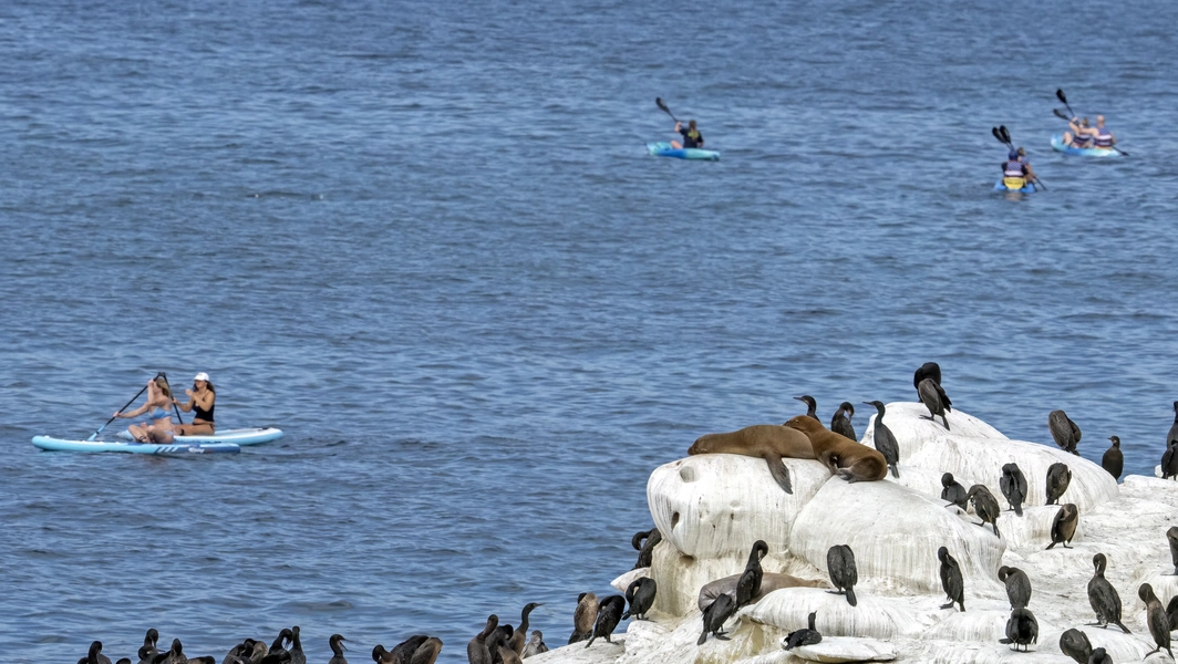 13 notable beaches with unique landscapes and wildlife