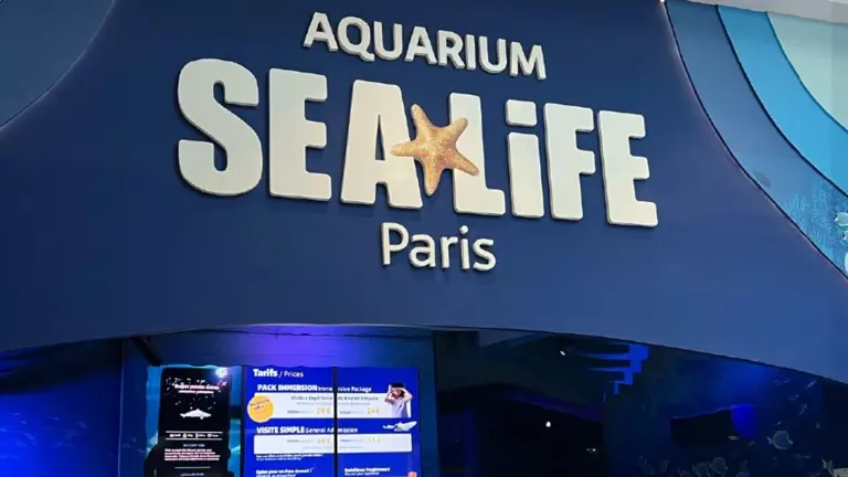 Serris : une exposition immersive pour le 25e anniversaire de Sea Life ...