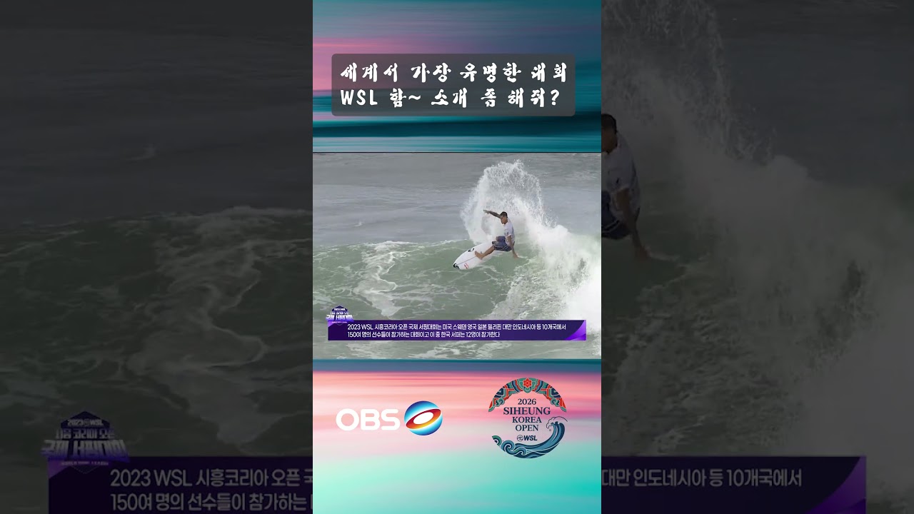 세계서 가장 유명한 대회 WSL 함~ 소개 좀 해줘? #WSL #시흥 #KOREA