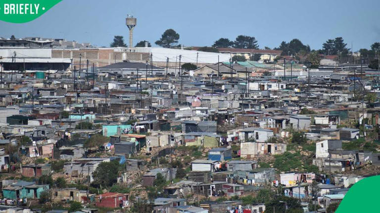 Viral video of Mossel Bay teen speaking Xhosa sparks backlash over ...