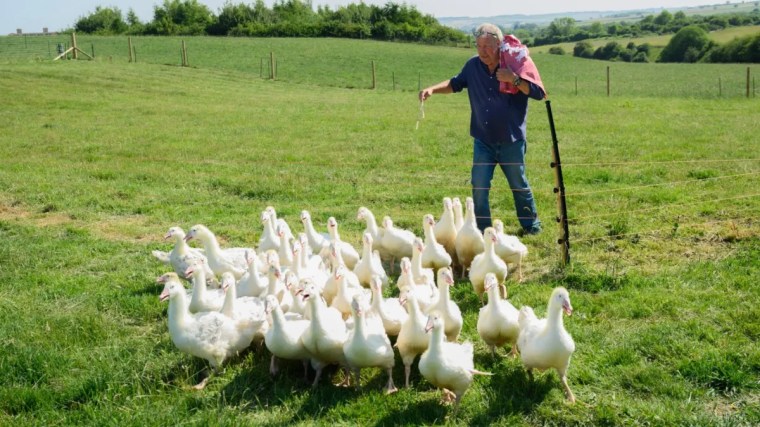 It’s time to send Clarkson’s Farm to the abattoir