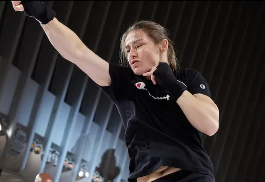 Taylor to fight for undisputed in final professional bout